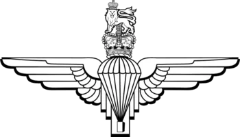 Breaking down the British eliteÂ forces: The Parachute Regiment (Paras ...